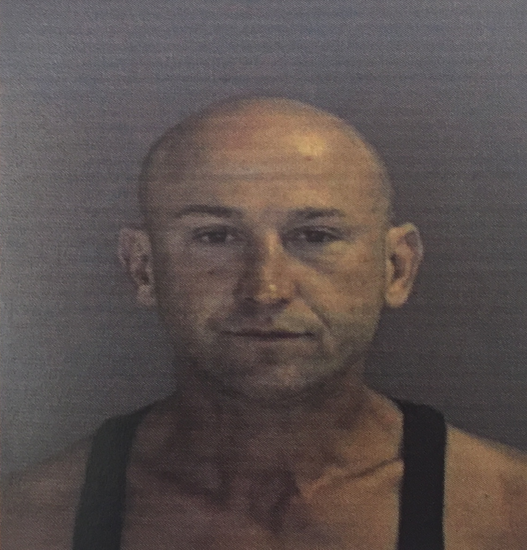 Sheak Gets 1 To 3 Years Under Vinces Law The Altamont Enterprise